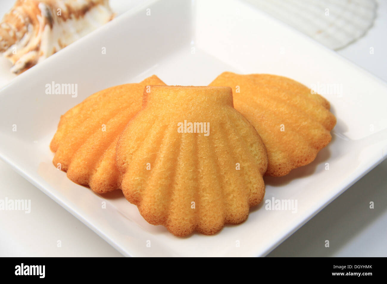 Madeleine photography hi-res stock photography and images - Alamy