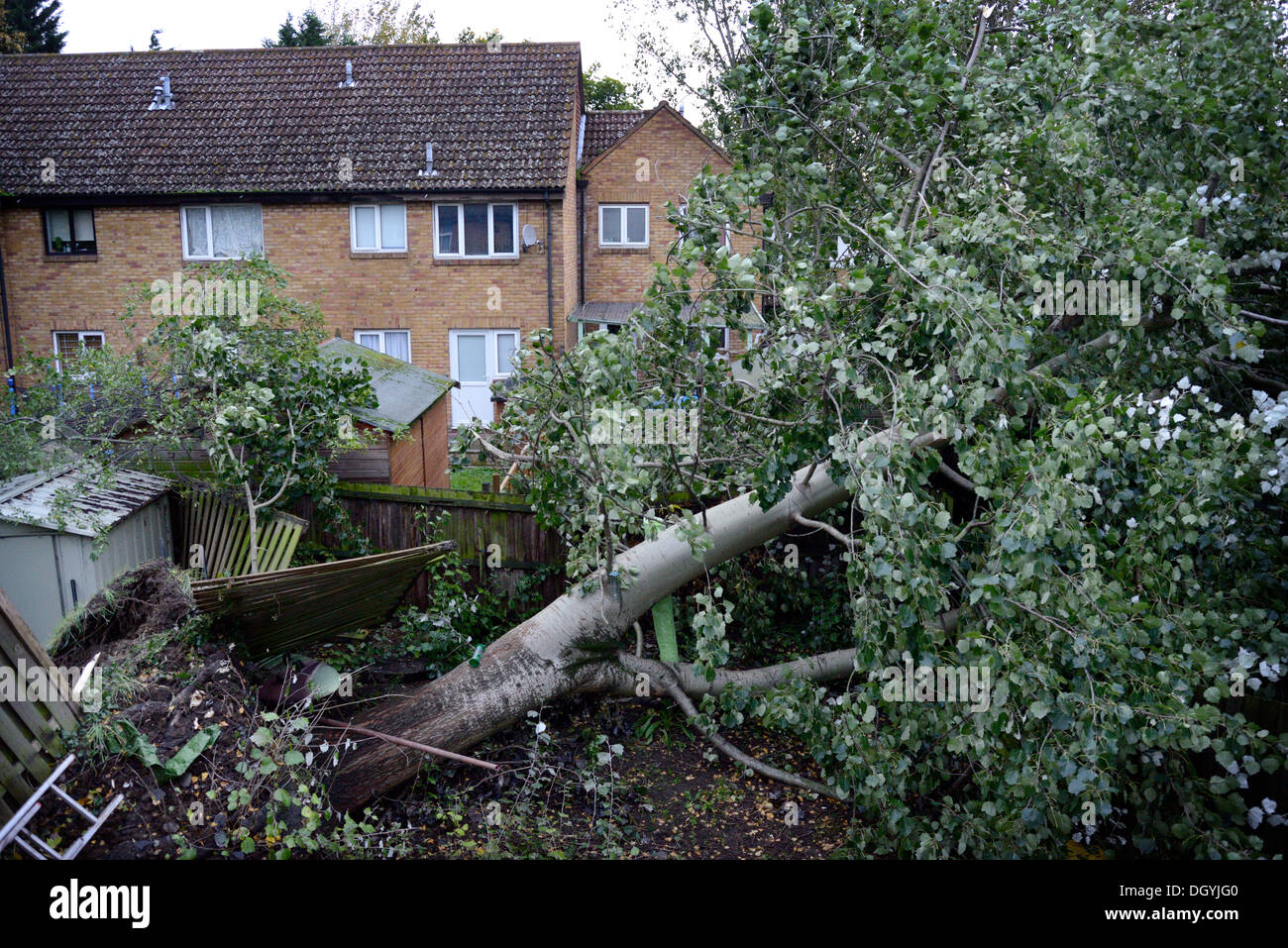 Fallen trees storm south east london hi-res stock photography and ...
