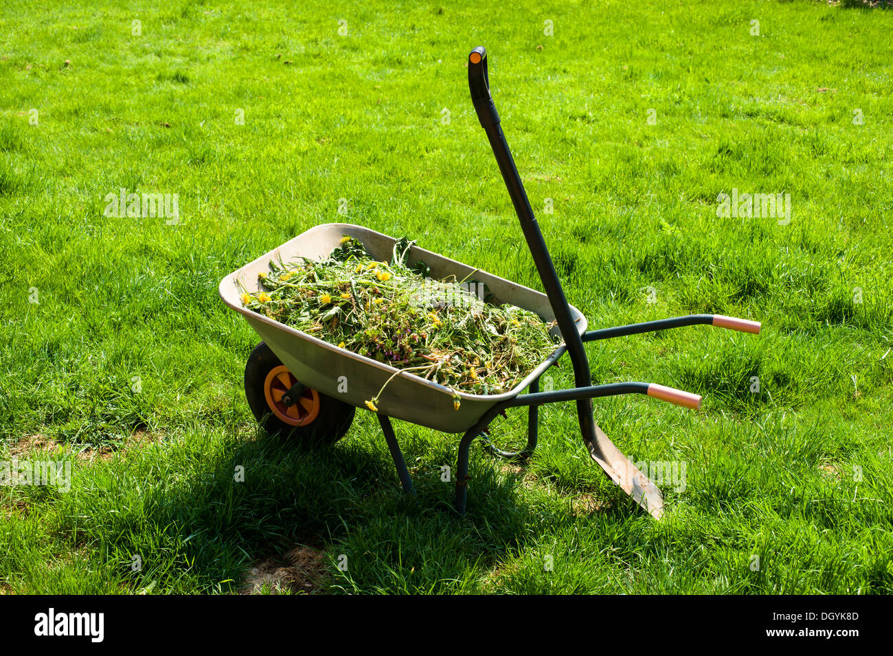 Weed in garden hi-res stock photography and images - Alamy