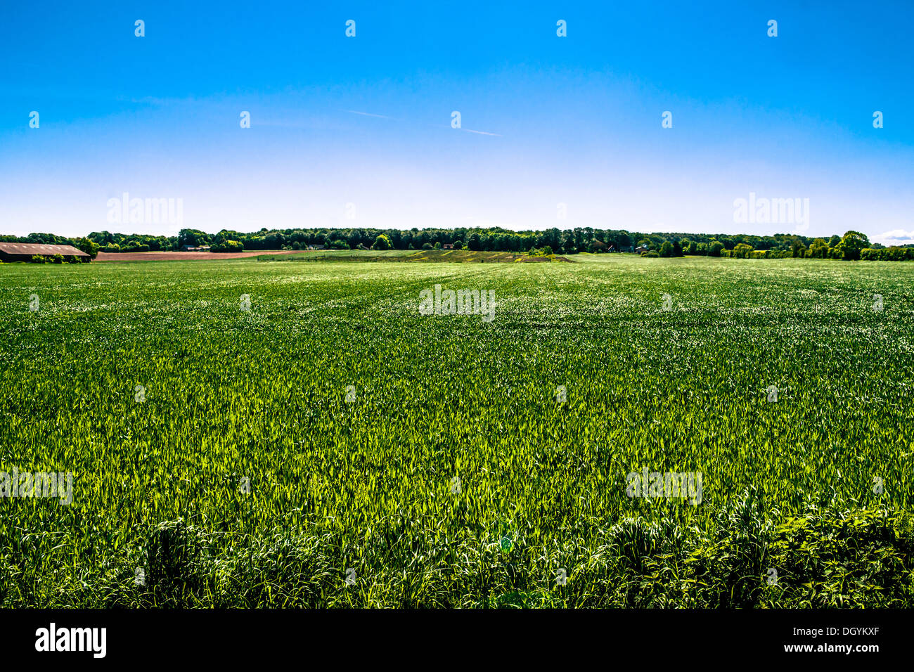 Beautiful natural surroundings hi-res stock photography and images - Alamy