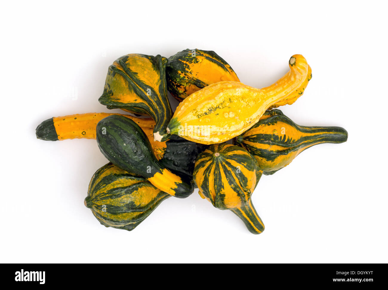 Bumpy gourds Cut Out Stock Images & Pictures - Alamy