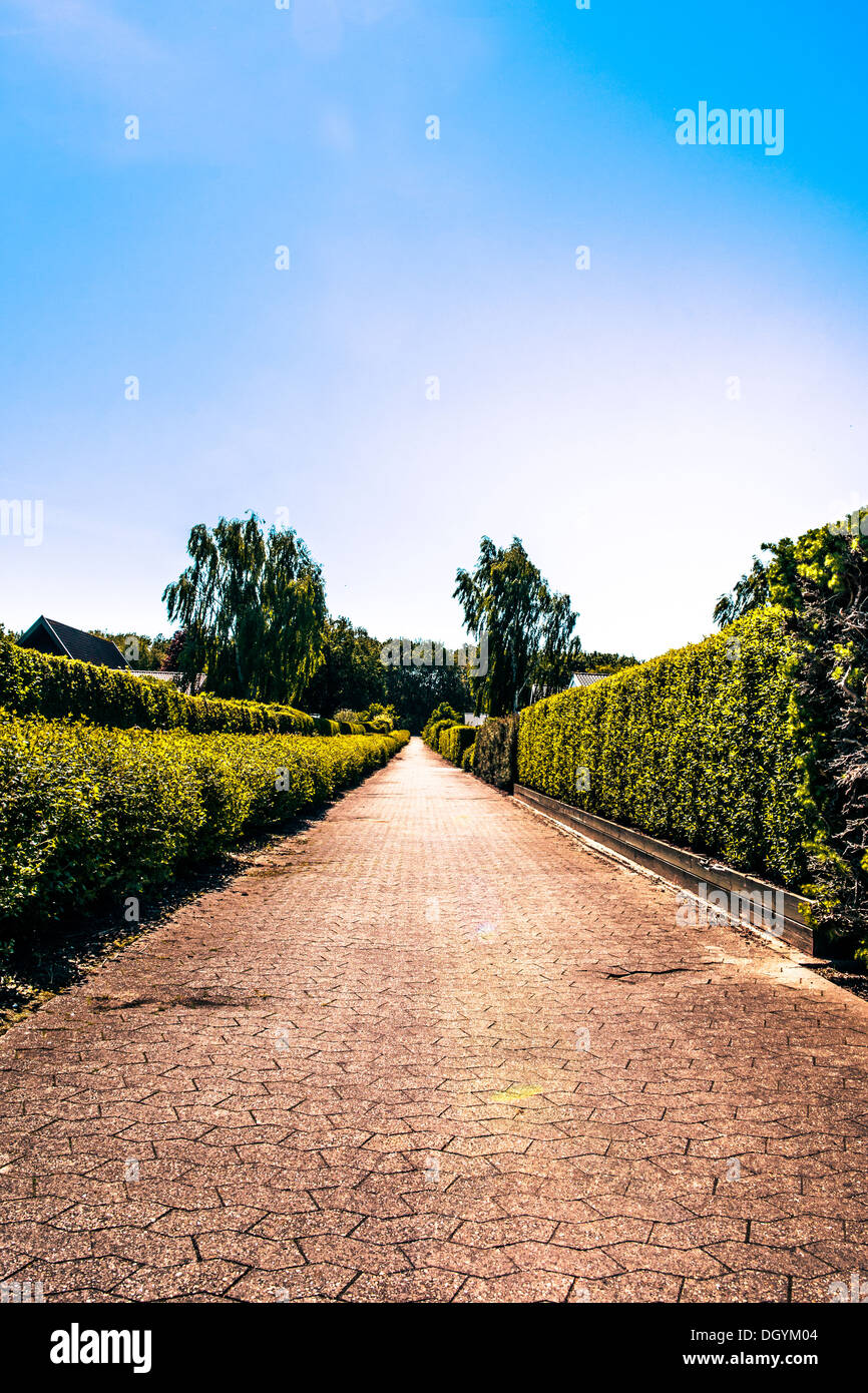 Hedge sides hi-res stock photography and images - Alamy