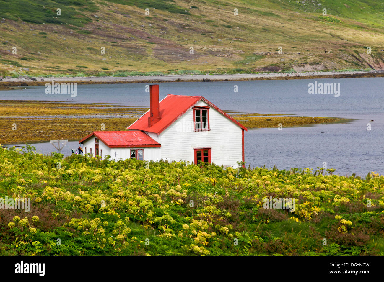 Traditional Icelandic House High Resolution Stock Photography and ...