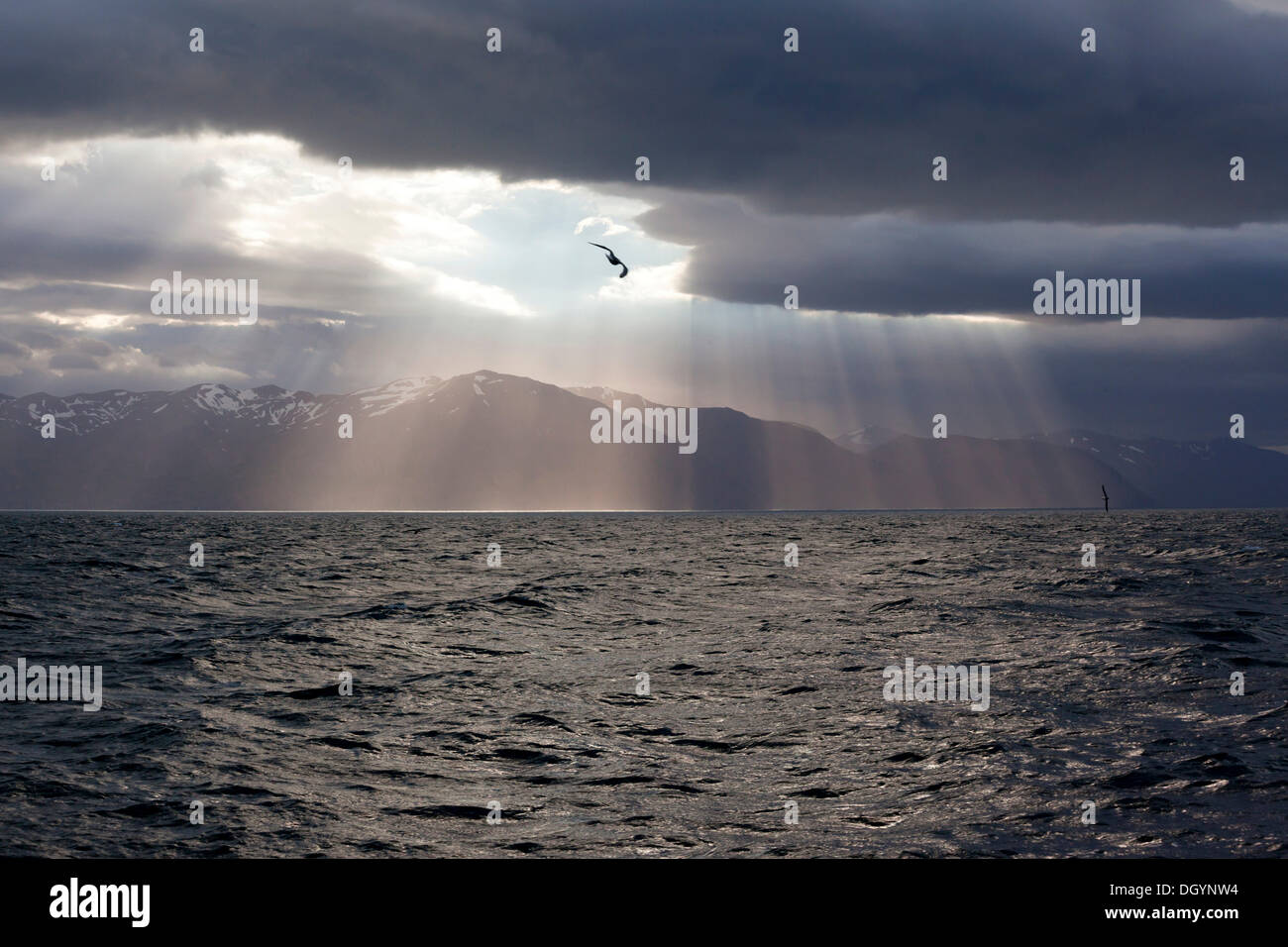 Sunlight breaking through storm clouds, Iceland, Europe Stock Photo - Alamy