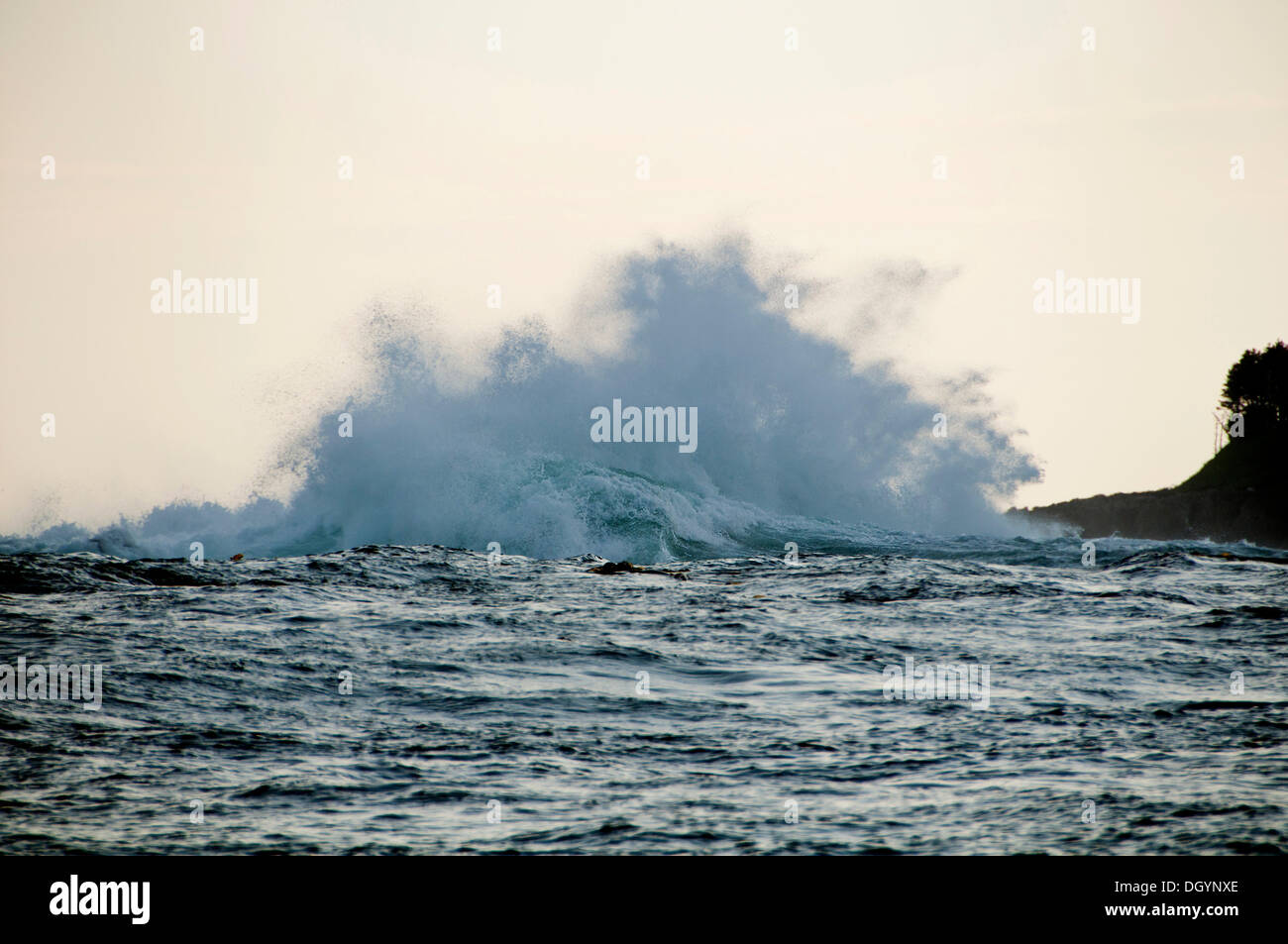 Storm waves in the Gulf of Alaska Stock Photo - Alamy