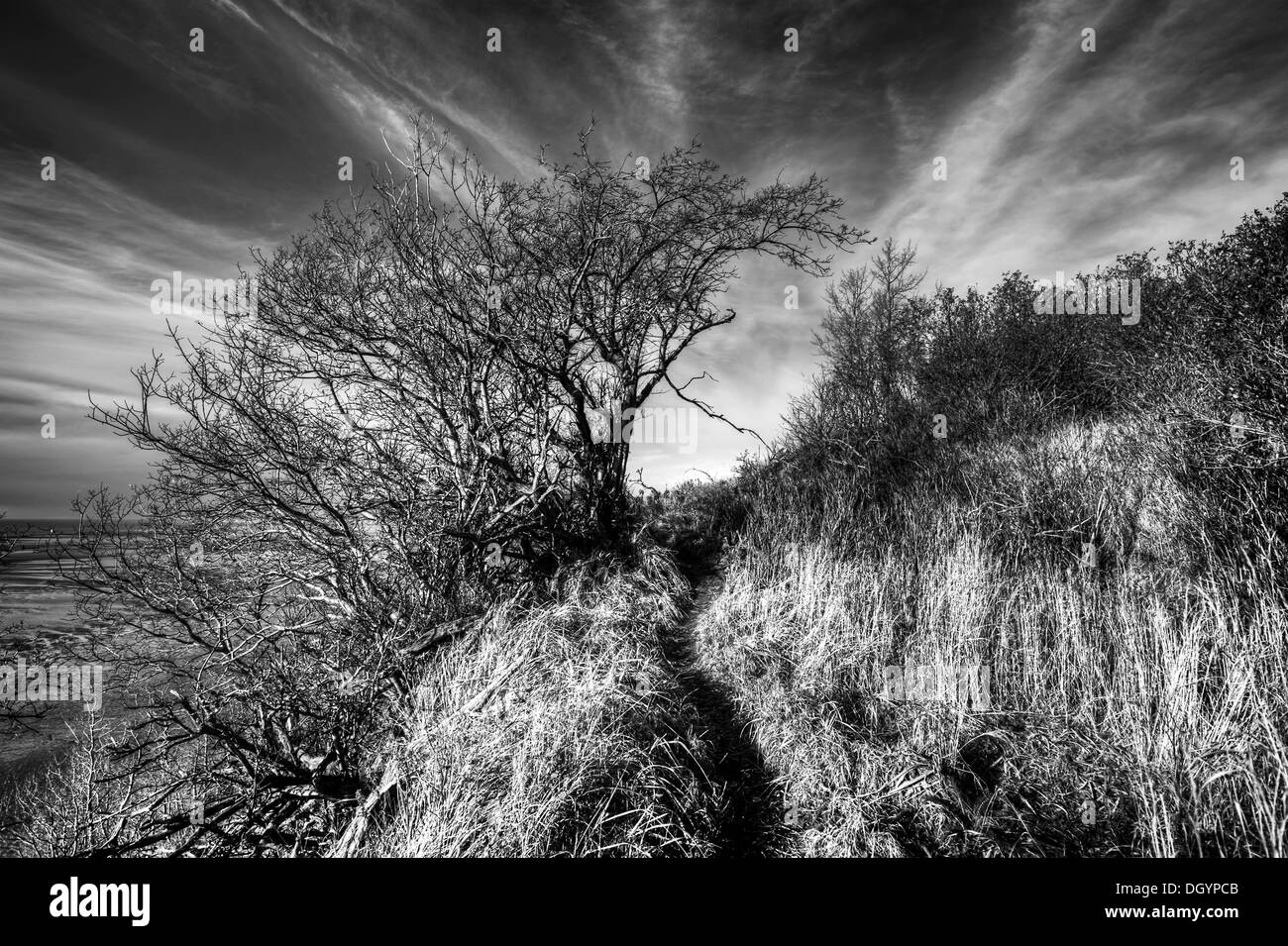 Kincaid hi-res stock photography and images - Alamy