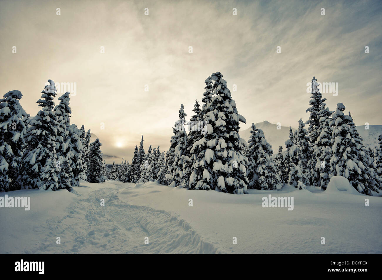 Turnagain Pass in winter, Alaska Stock Photo - Alamy
