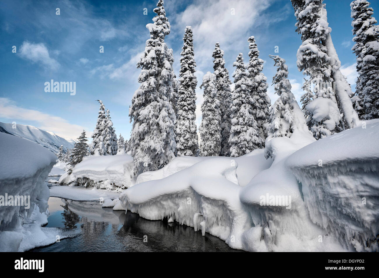 Bench of the creek hi-res stock photography and images - Alamy