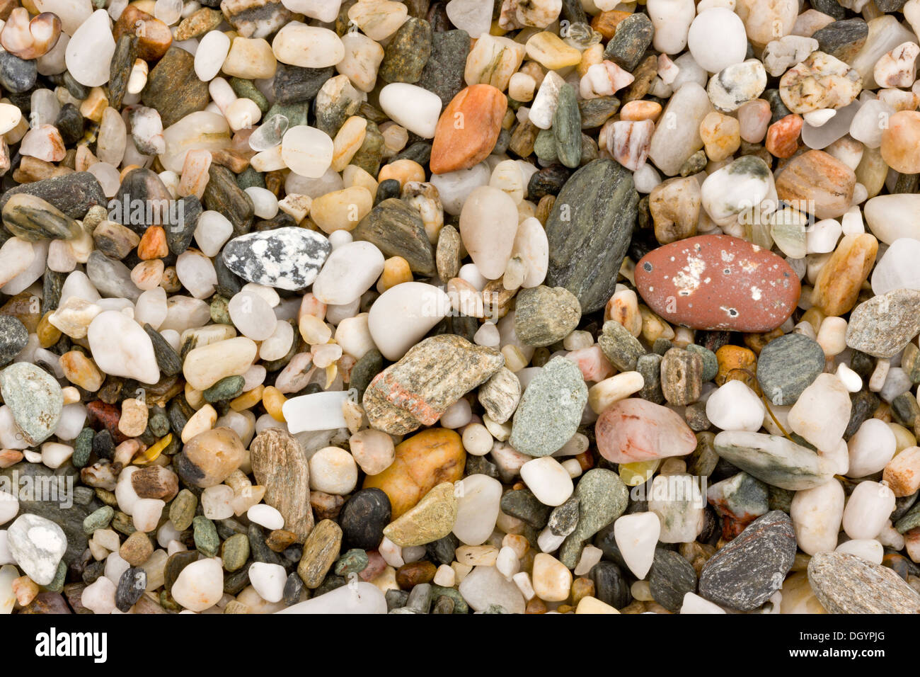 Colourful pebbles at the beach hi-res stock photography and images - Alamy