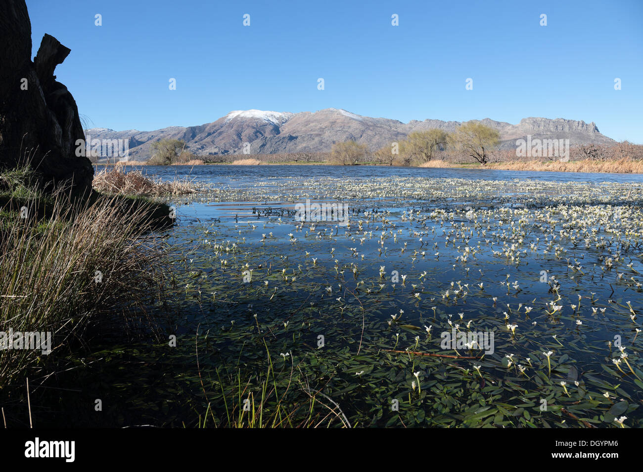 Witzenberg valley hi-res stock photography and images - Alamy