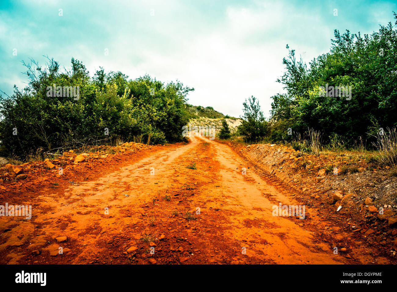 Nature path surrounded by trees and bush Stock Photo - Alamy