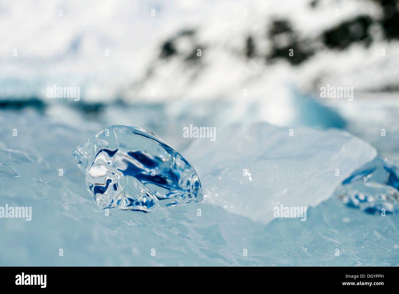 Melt patterns, close-up of an iceberg, Harriman Fjord, Anchorage ...