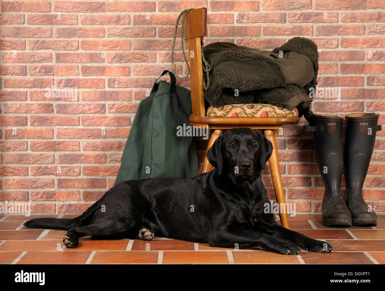 Black Labrador lying in front of chair, next to rubber boots and ...