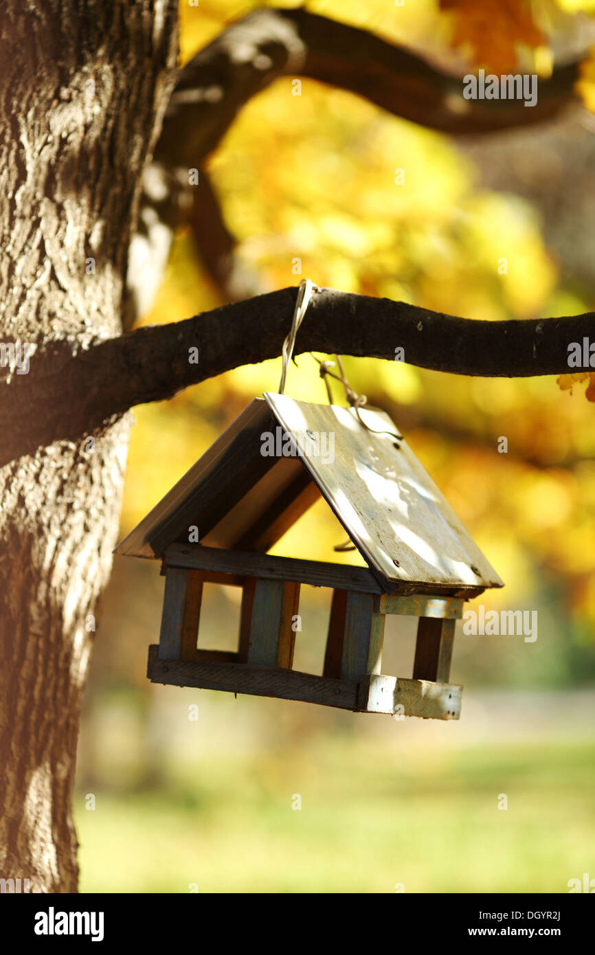 birdhouse in the autumn forest close up Stock Photo - Alamy