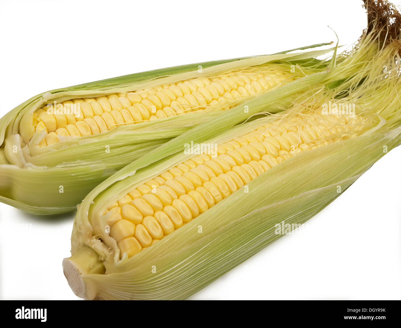 fresh corn with green leaves isolated on white background Stock Photo ...