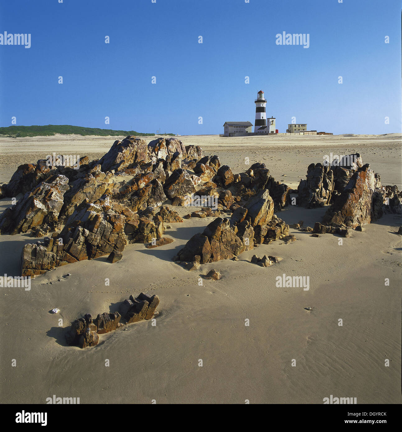 The Lighthouse, Cape Recife Nature Reserve Stock Photo - Alamy