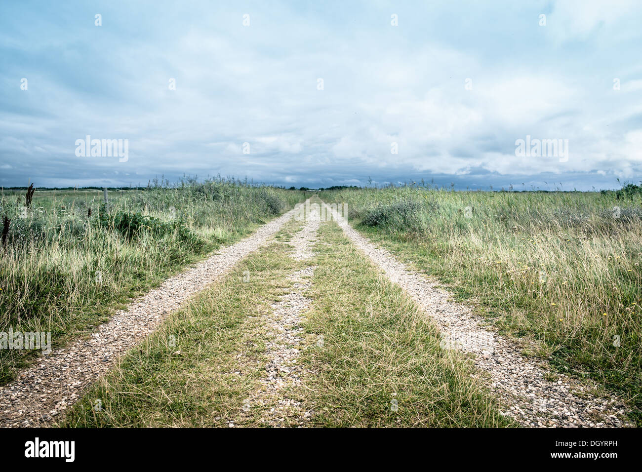 Nature path surrounded by grass and bush Stock Photo - Alamy