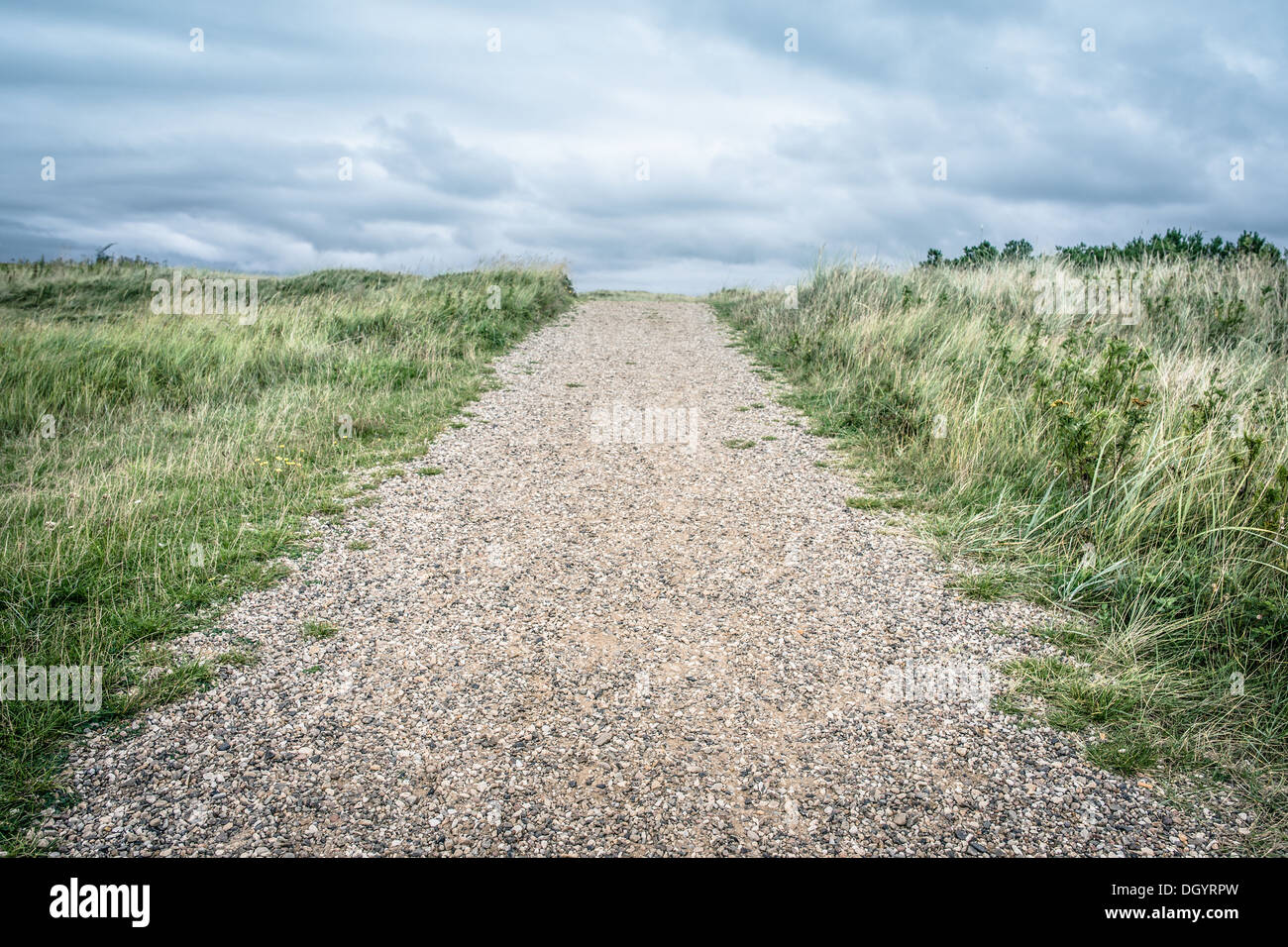 Nature path surrounded by grass and bush Stock Photo - Alamy