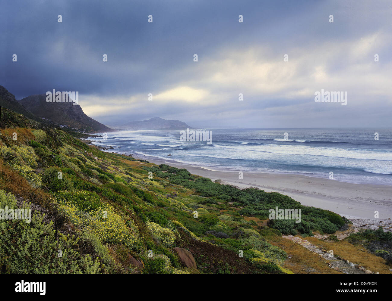 Misty Cliffs, Cape Peninsula, South Africa Stock Photo - Alamy