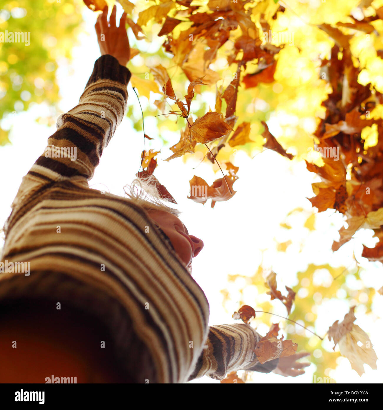woman drop up leaves in autumn park Stock Photo - Alamy