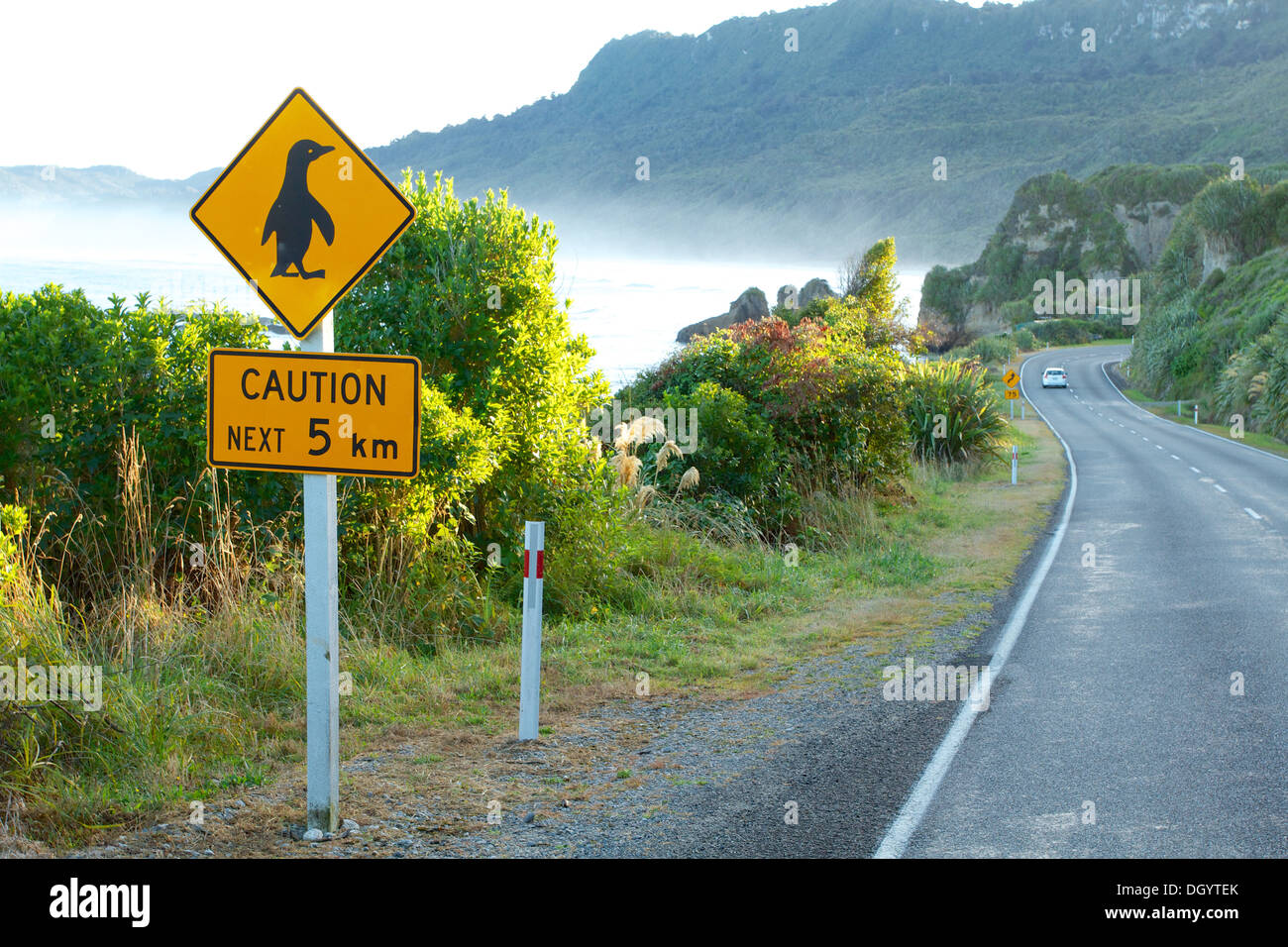 Penguin sign in New Zealand coast Stock Photo - Alamy