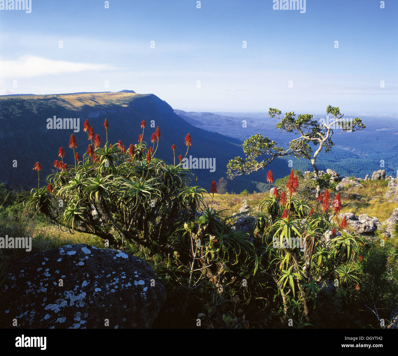 God's Window, Mpumalanga, South Africa Stock Photo - Alamy