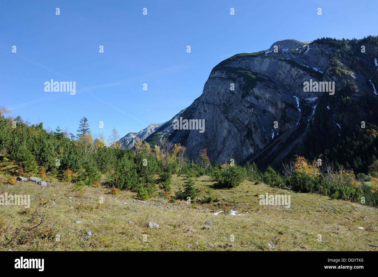 small trees in autumnal mountain landscape - Karwendel, Hinterriss, Eng ...
