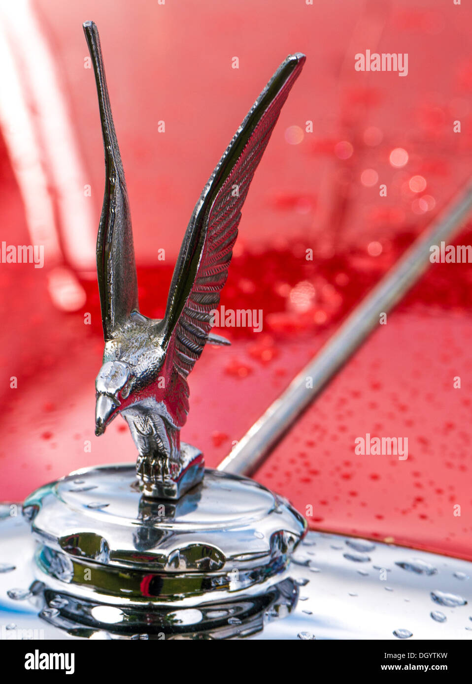 Car radiator mascot hi-res stock photography and images - Alamy