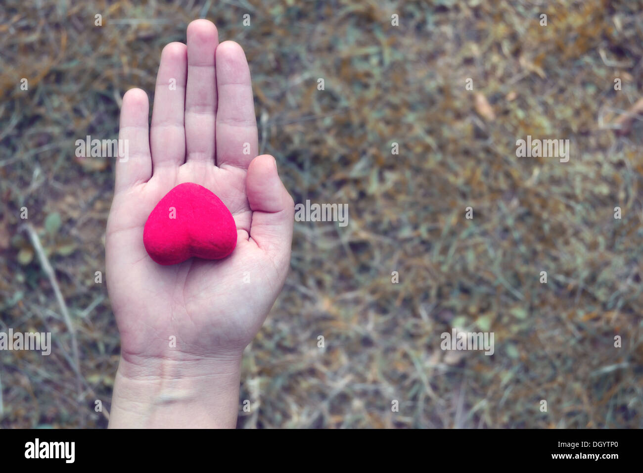 Human female shape hi-res stock photography and images - Alamy