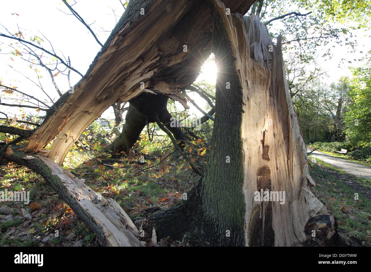 London storm damage hi-res stock photography and images - Alamy