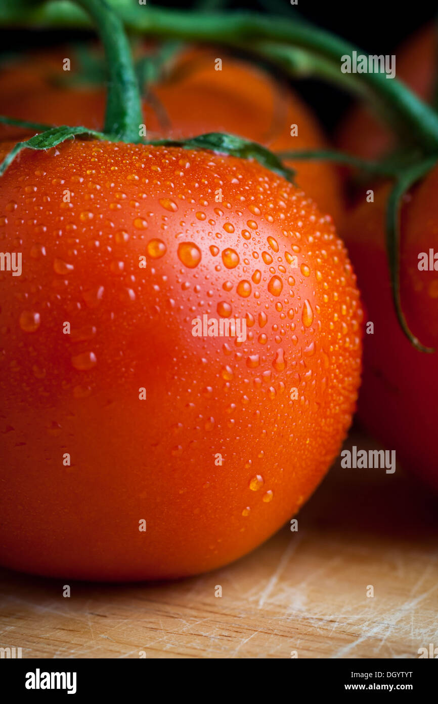 Fresh tomatoes on the vine Stock Photo - Alamy