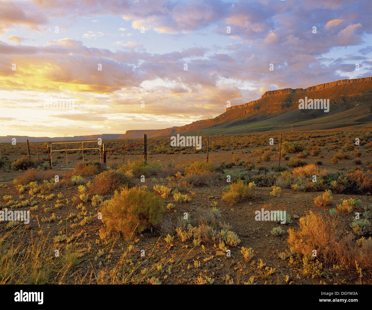 Karoo Sunset, South Africa Stock Photo - Alamy