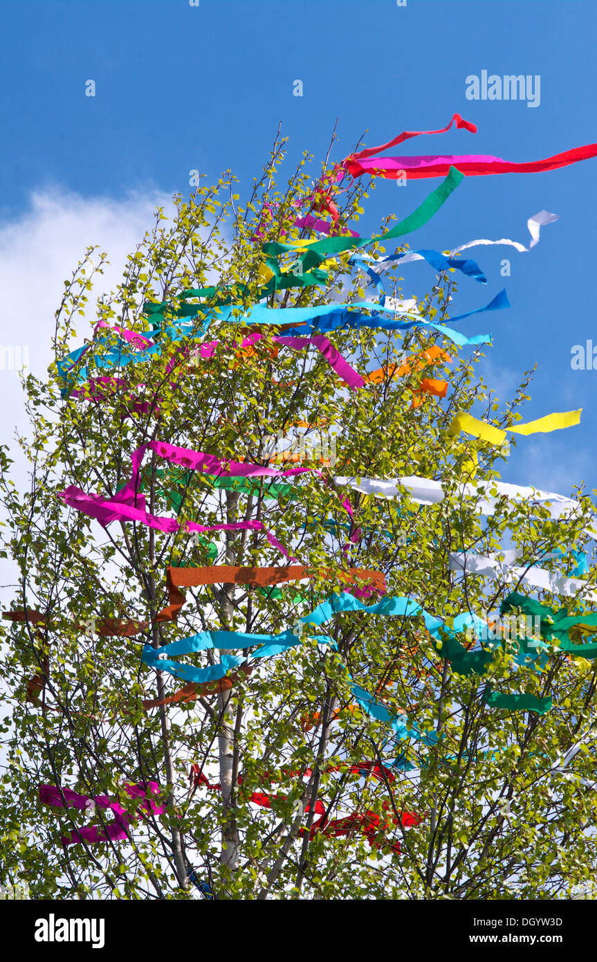 Colorful stripes in spring Stock Photo - Alamy