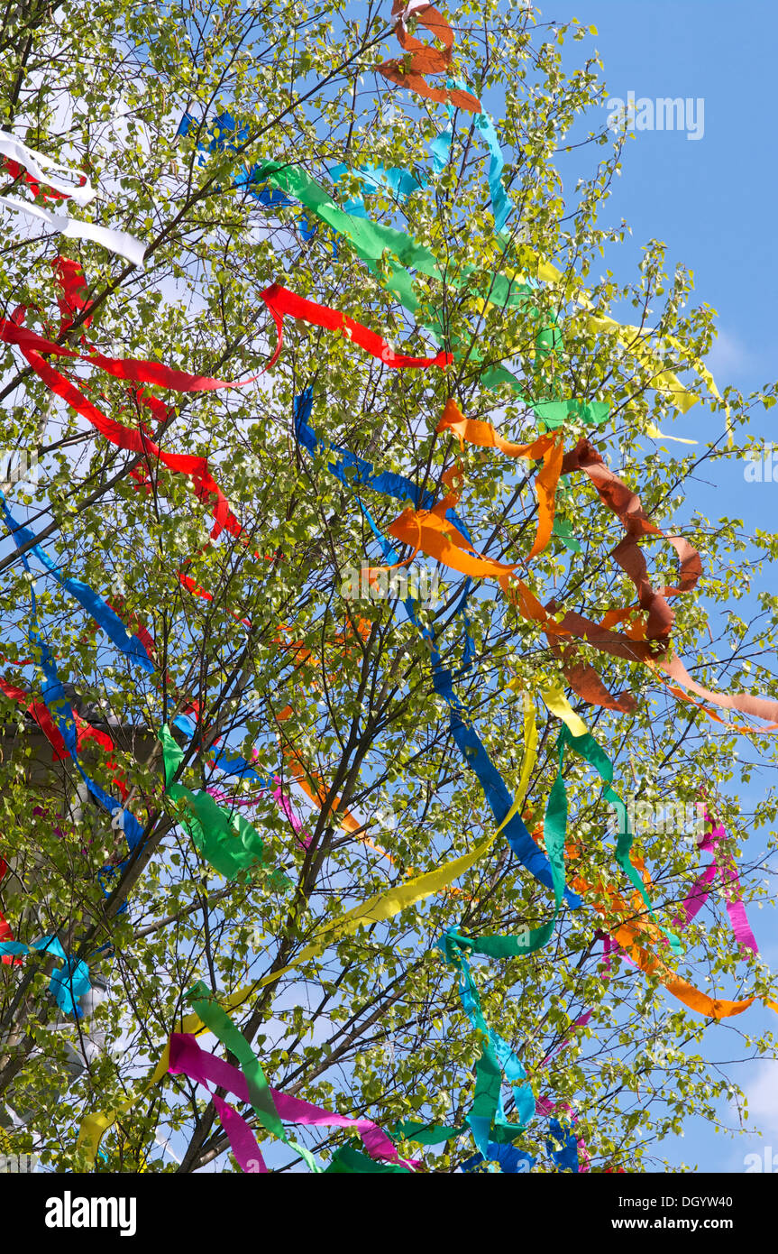 Colorful stripes in spring Stock Photo - Alamy