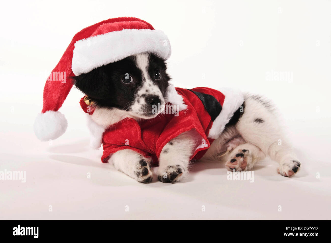Santa full body hi-res stock photography and images - Alamy
