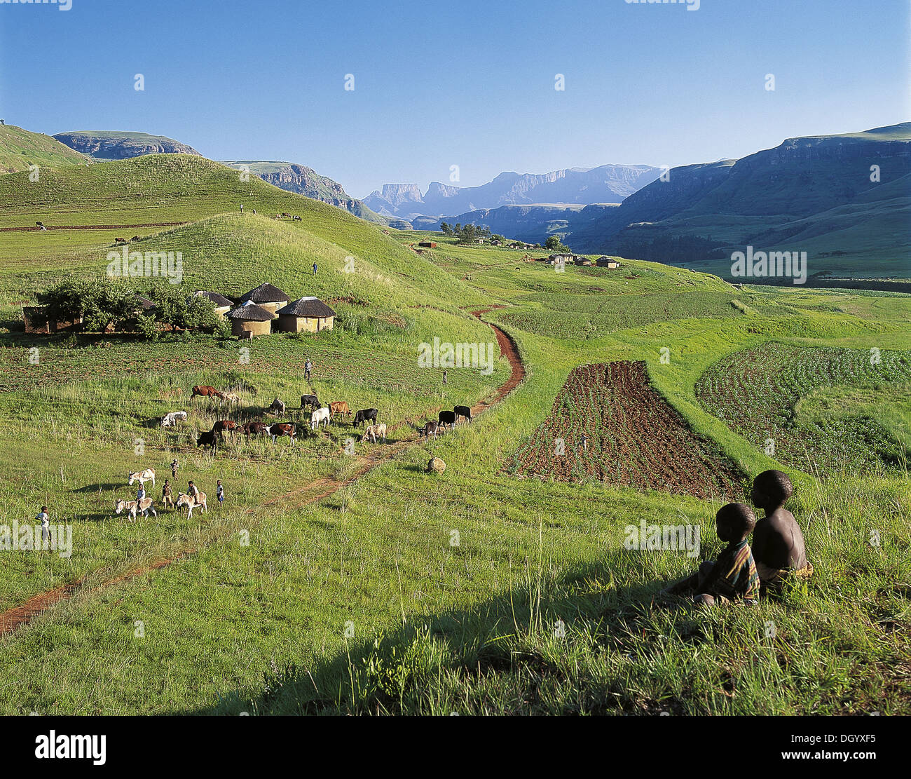 Rural Kwazulu-Natal, South Africa Stock Photo - Alamy