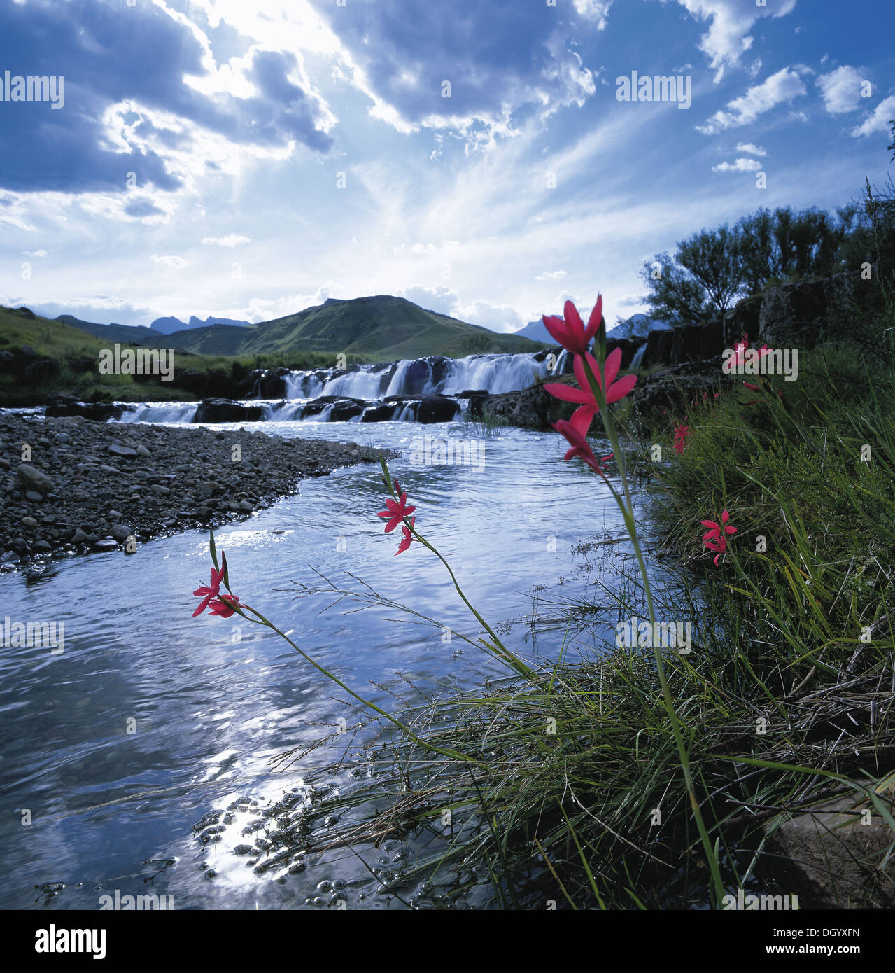 Bushmans Nek River, Drakensberg, South Africa Stock Photo - Alamy