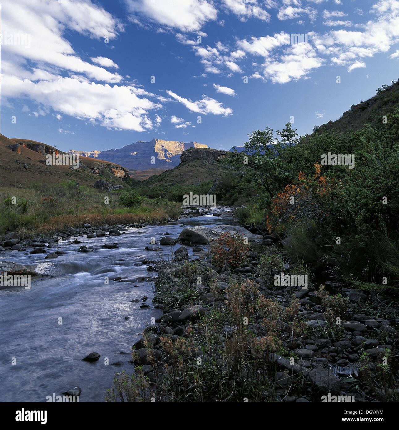 Bushmans river hi-res stock photography and images - Alamy
