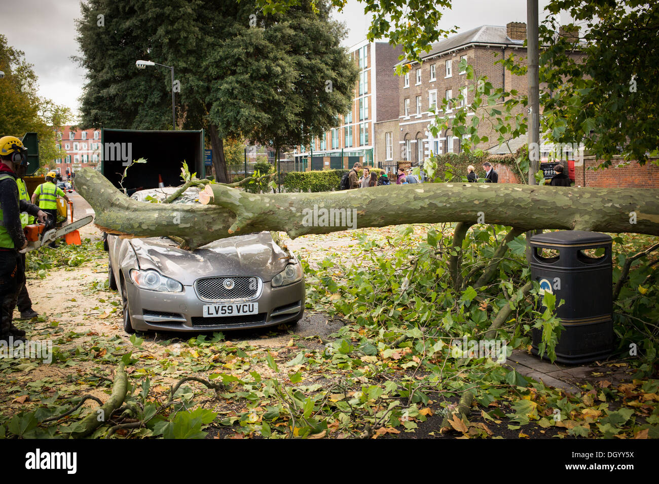 tree fallen over a car after storm Stock Photo - Alamy
