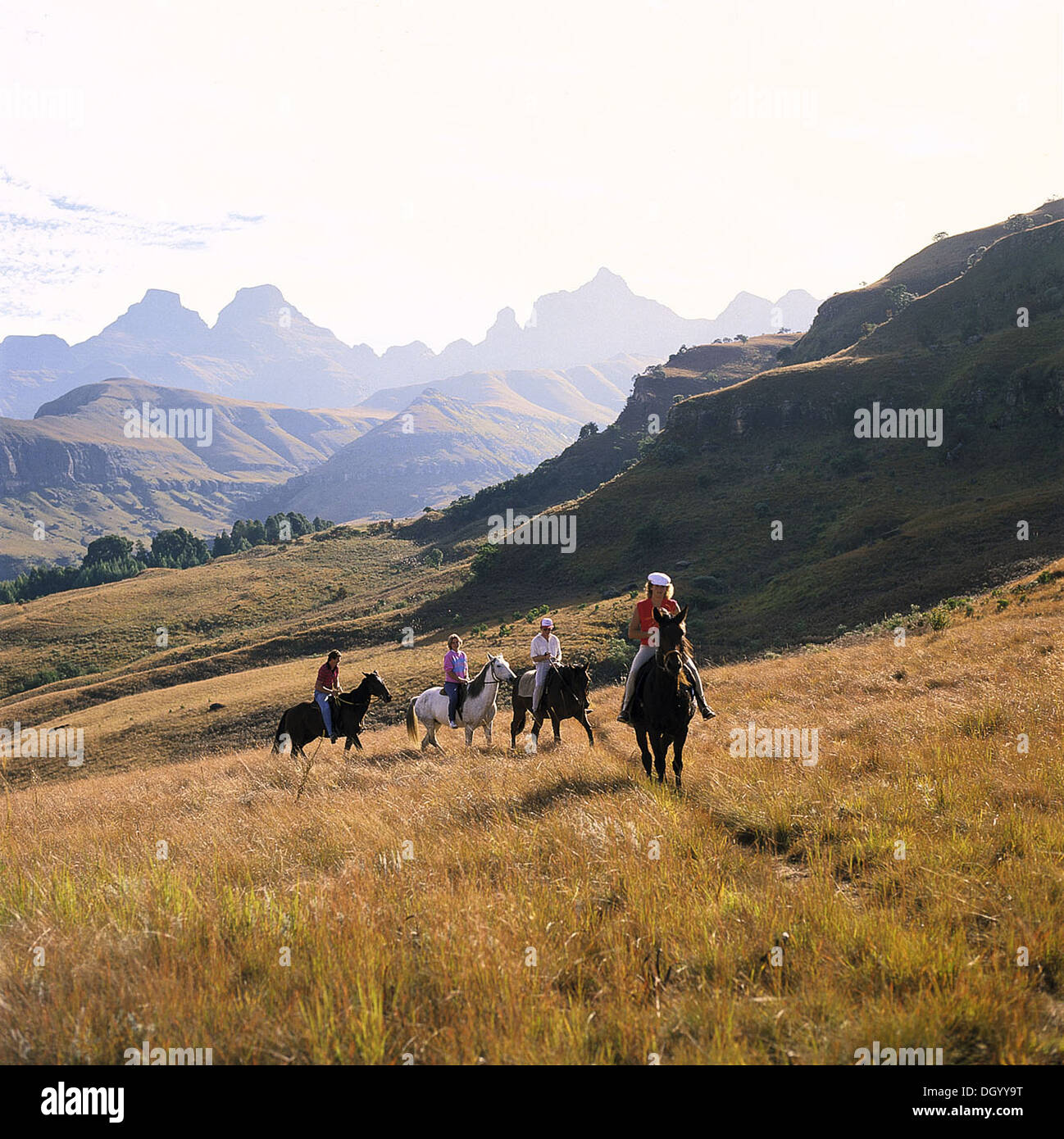 Cathedral Peak; Northern Drakensberg, South Africa Stock Photo - Alamy