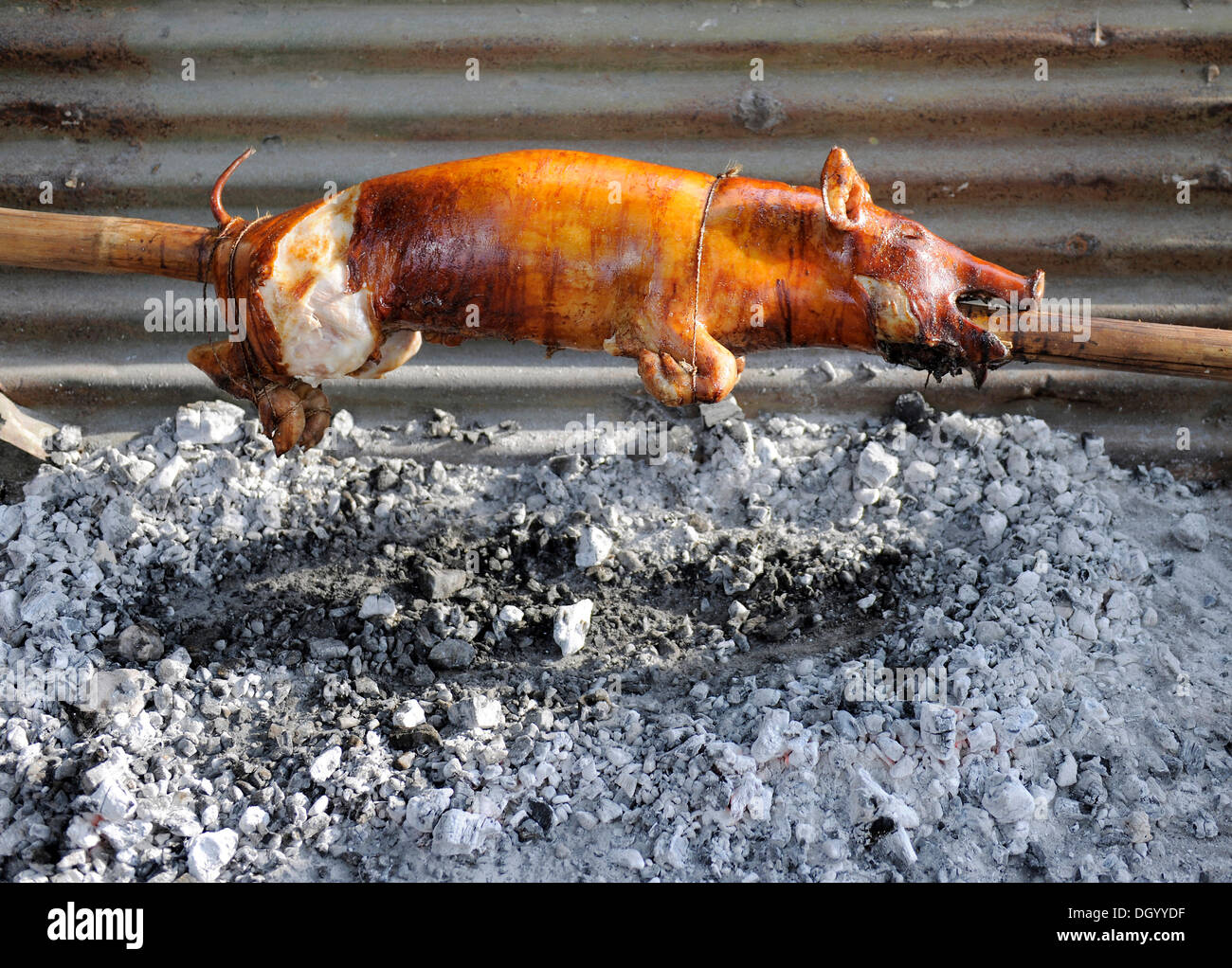 Suckling pig being roasted on a spit, Cebu, Philippines, Southeast Asia ...