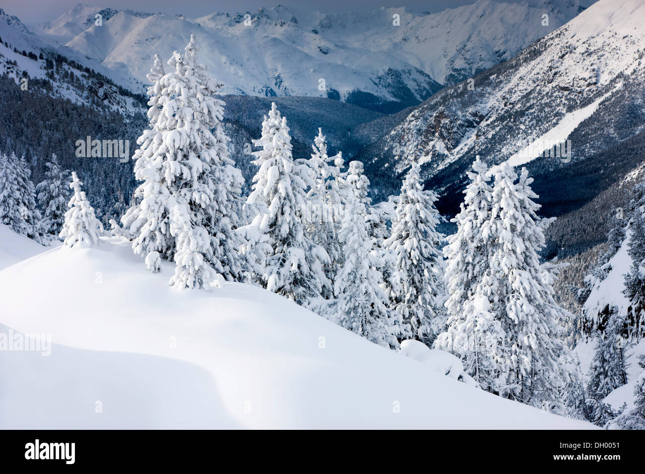 Swiss national park hi-res stock photography and images - Alamy
