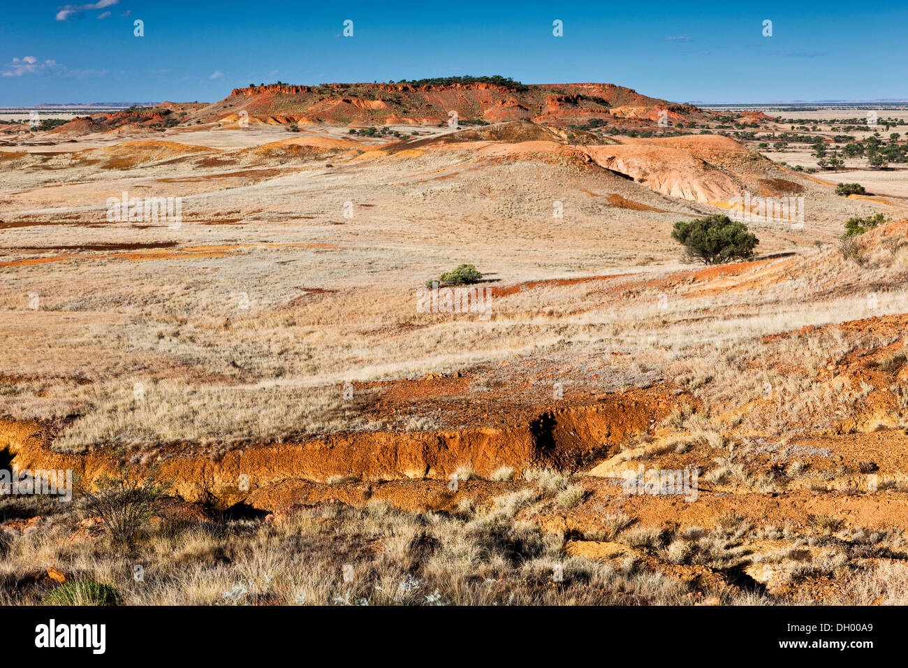 Australia backdrop hi-res stock photography and images - Alamy