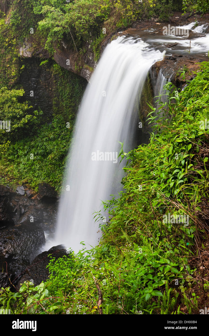 Zillie Falls, Atherton Tablelands, Queensland, Australia Stock Photo ...