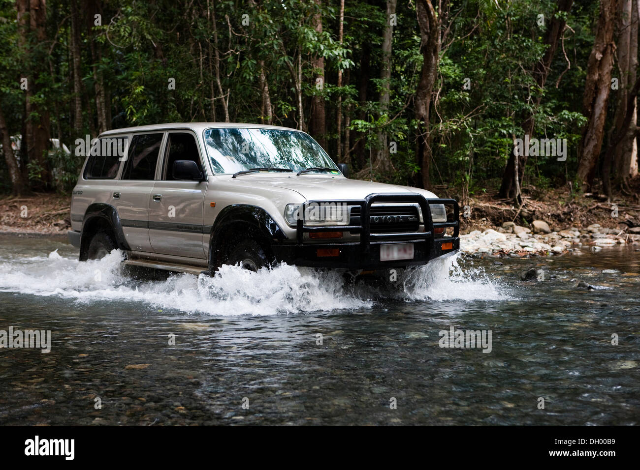Jeep crossing a river in a rainforest in Daintree National Park ...