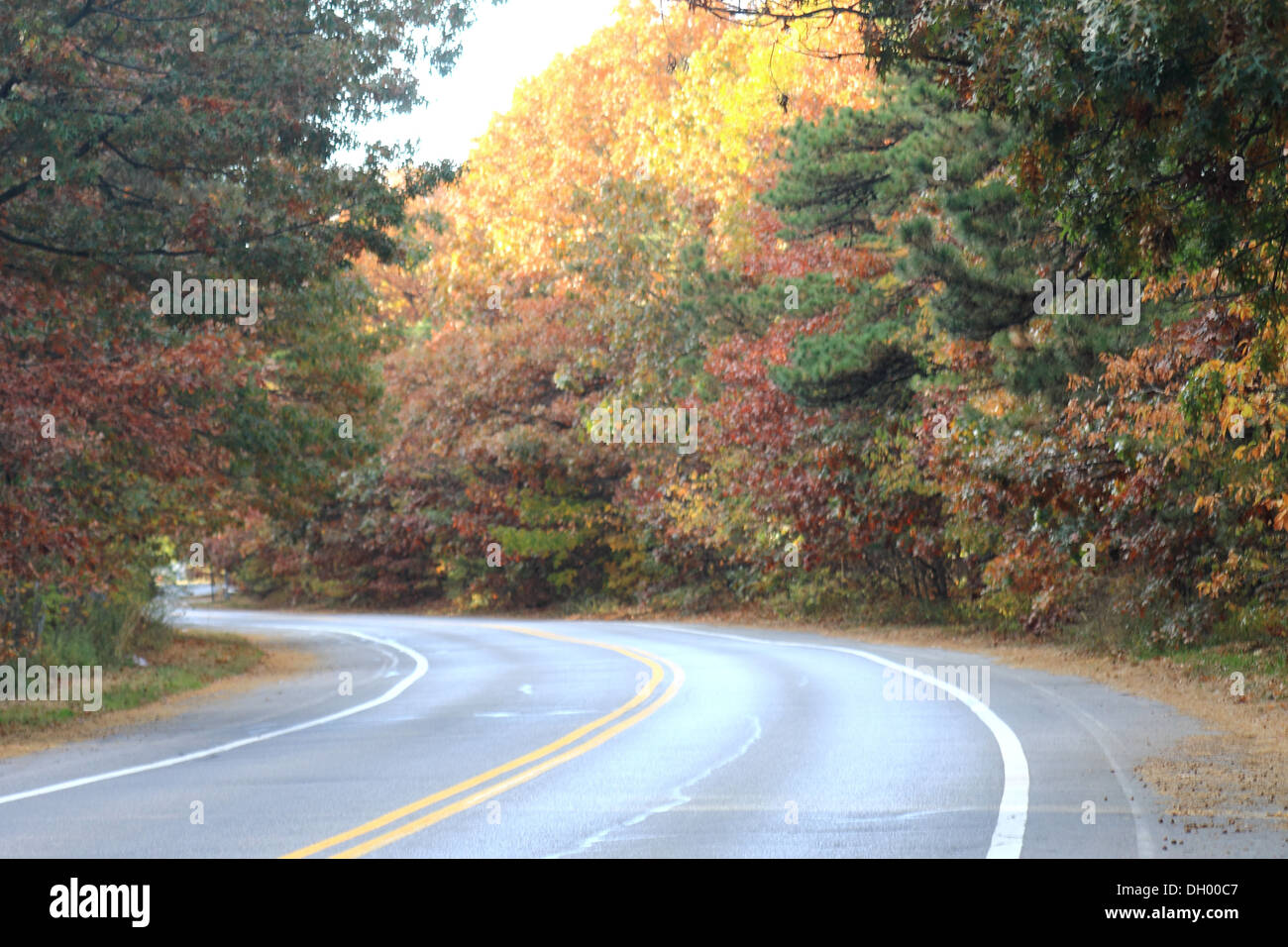 Fall Foliage on a winding road Stock Photo - Alamy