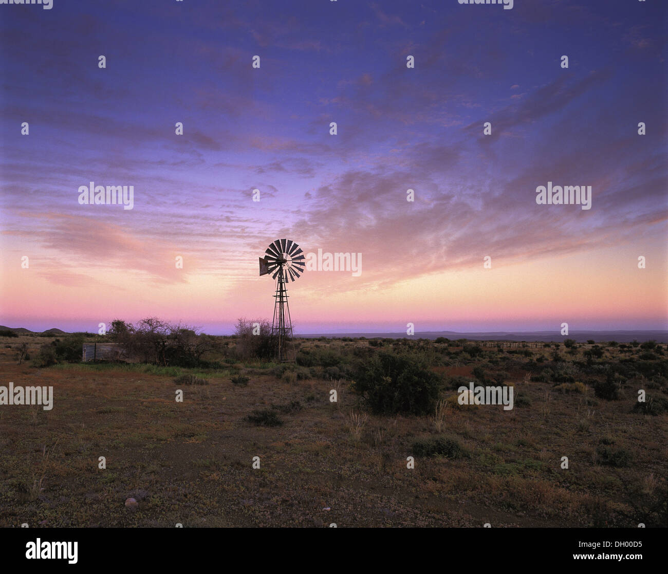 A windmill at sunrise in the Karoo near Prince Albert Stock Photo - Alamy