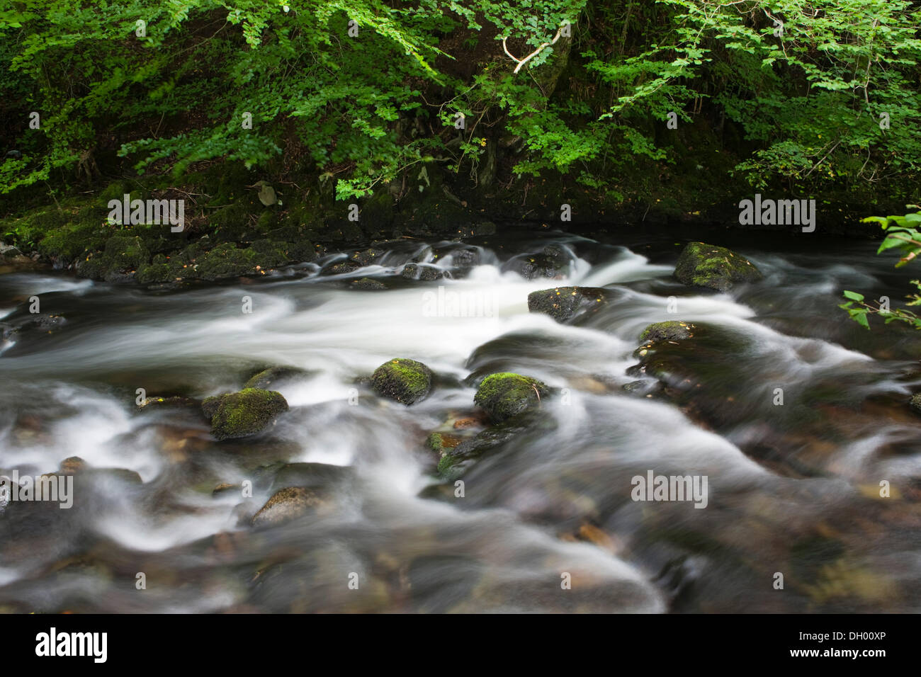 Stream, Lake District, England, United Kingdom Stock Photo - Alamy