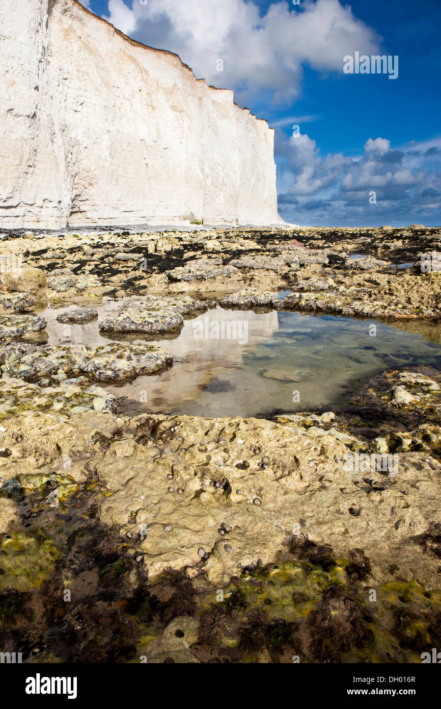 White chalk cliffs with reflections in the water, Seven Sisters Country ...