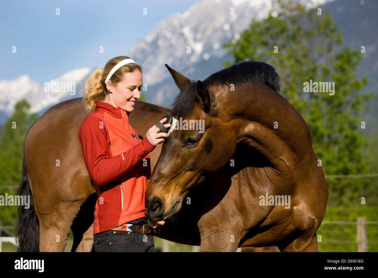 Preening woman hi-res stock photography and images - Alamy